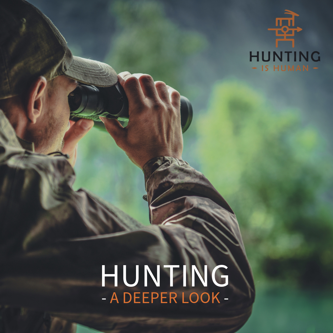 A deeper look at hunting - Howl For Wildlife