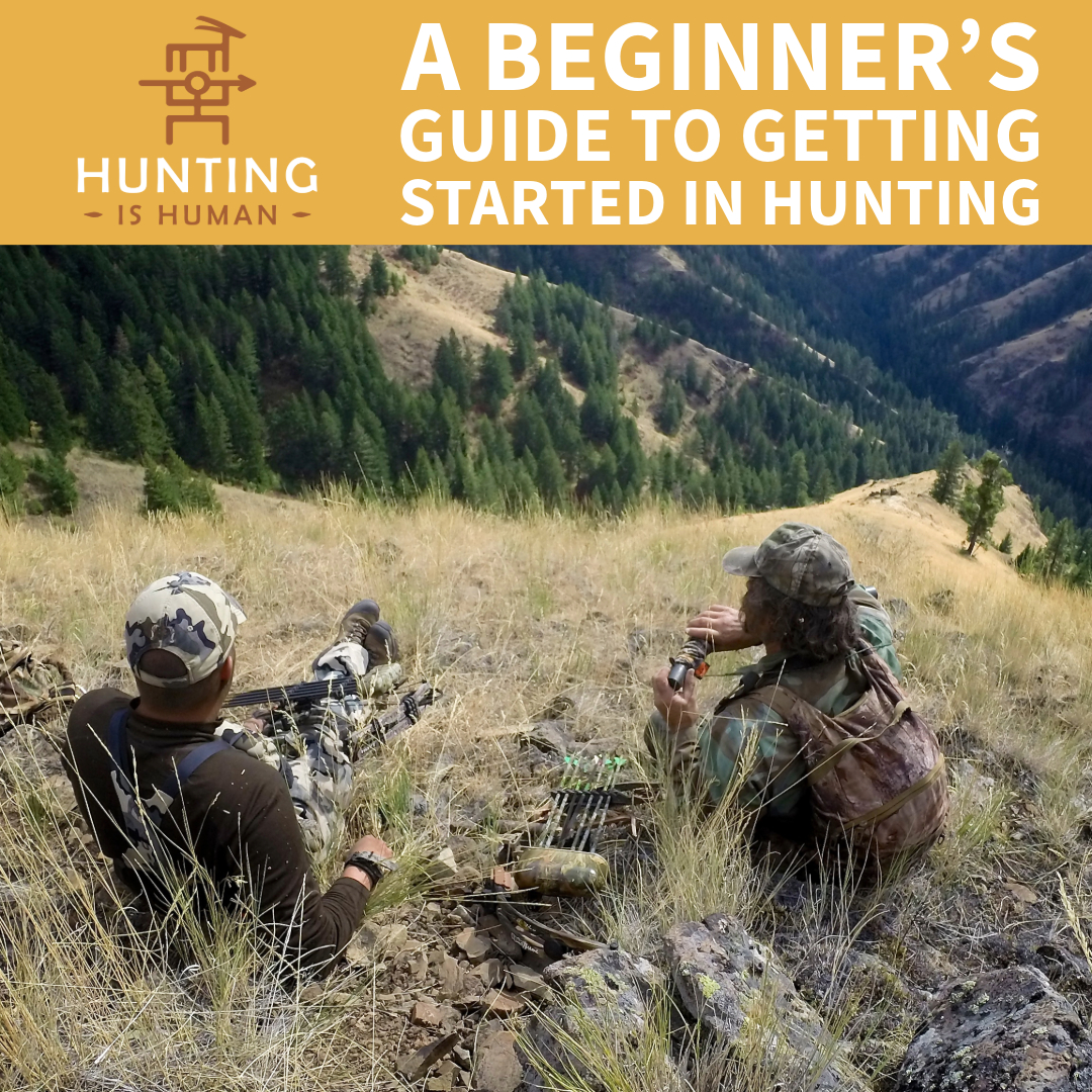 A beginners guide to hunting - Howl For Wildlife