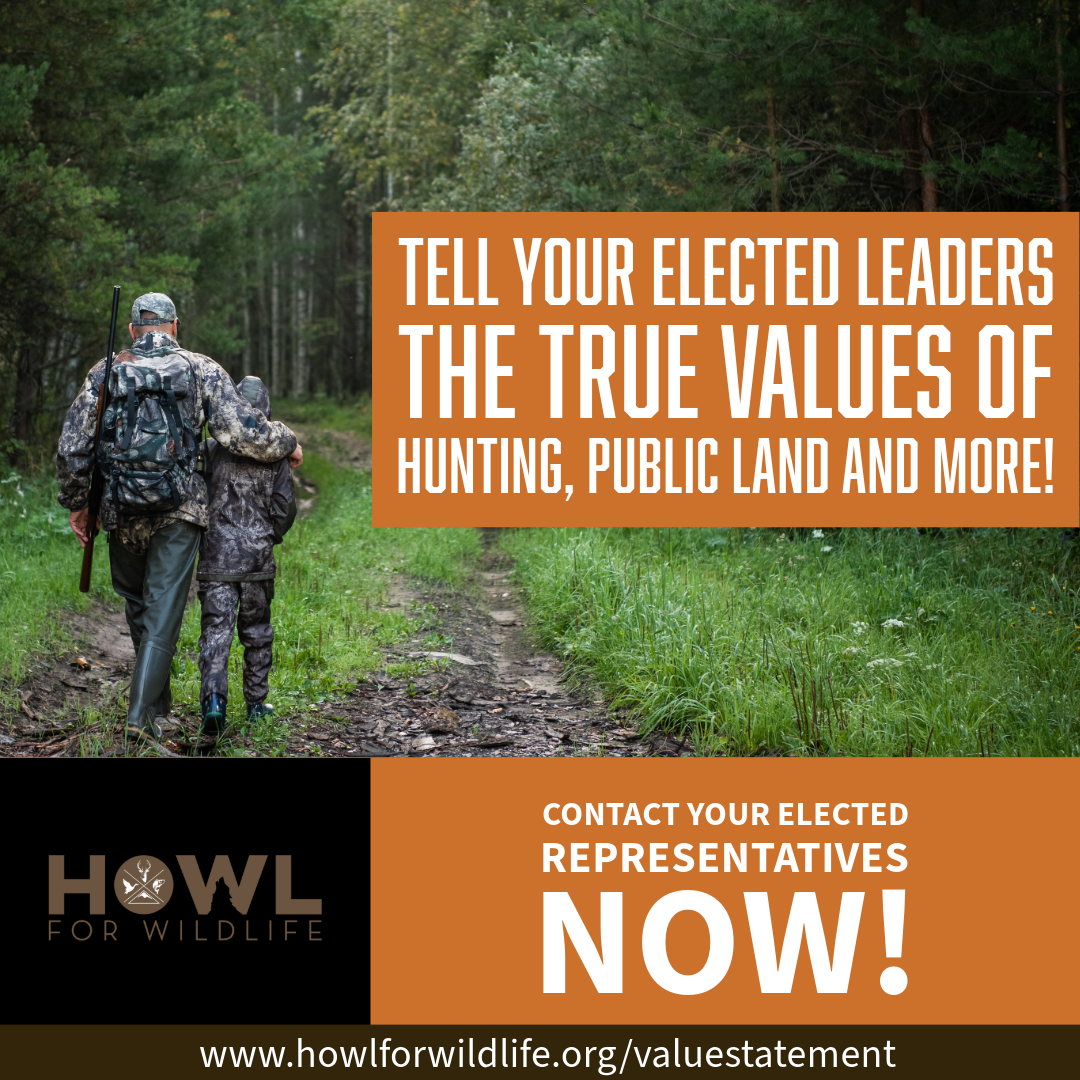 Let your elected representative know why hunting is important to you.