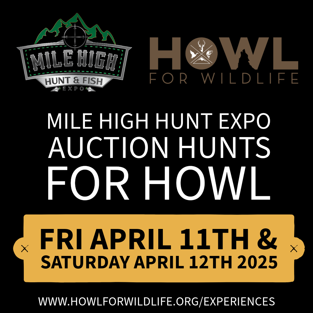 experiences - Howl For Wildlife