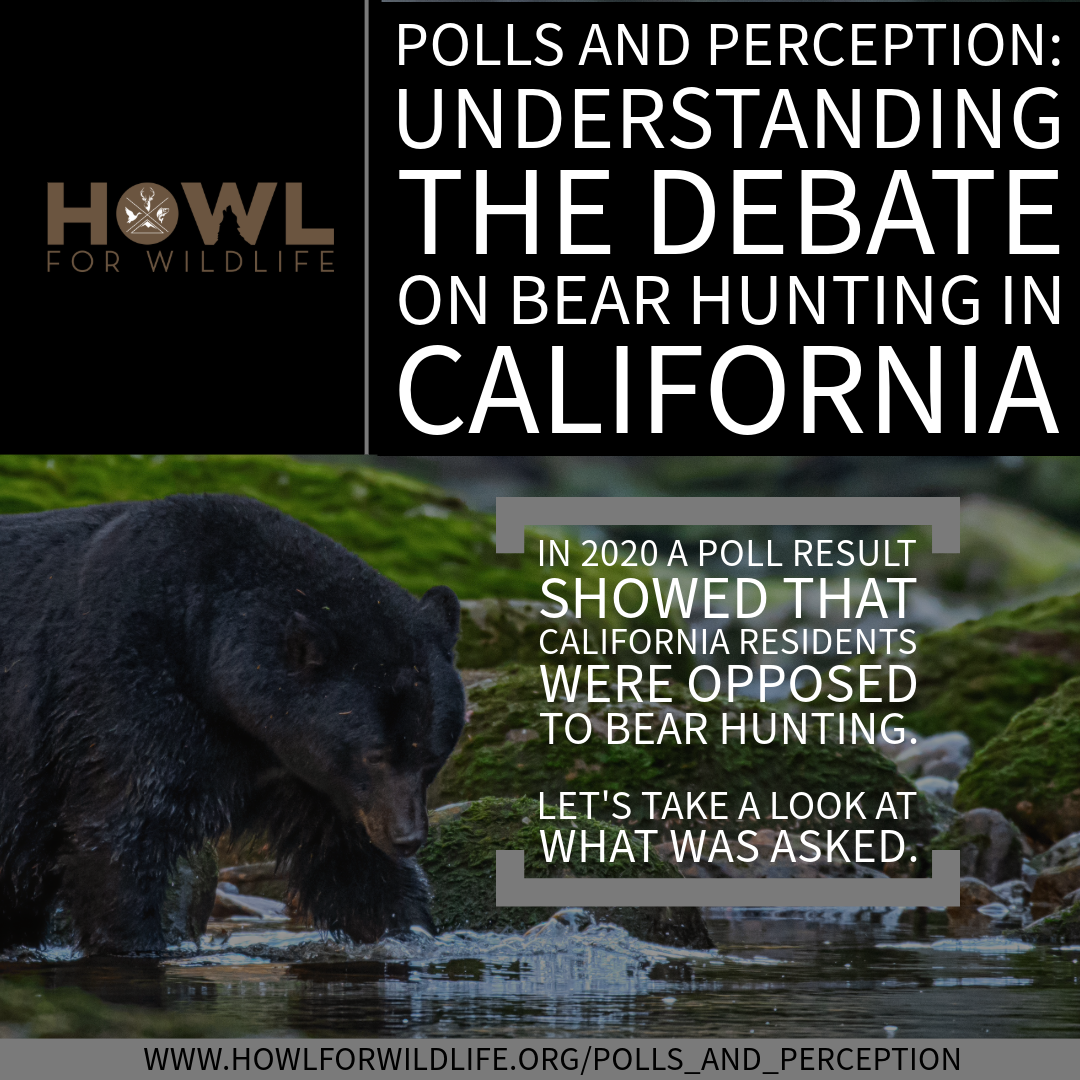 Polls and Perception: Understanding the Debate on Bear Hunting in ...