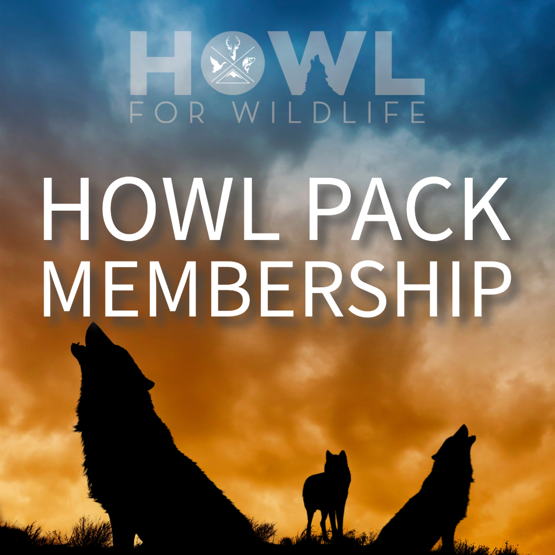 Howl Membership - Howl For Wildlife