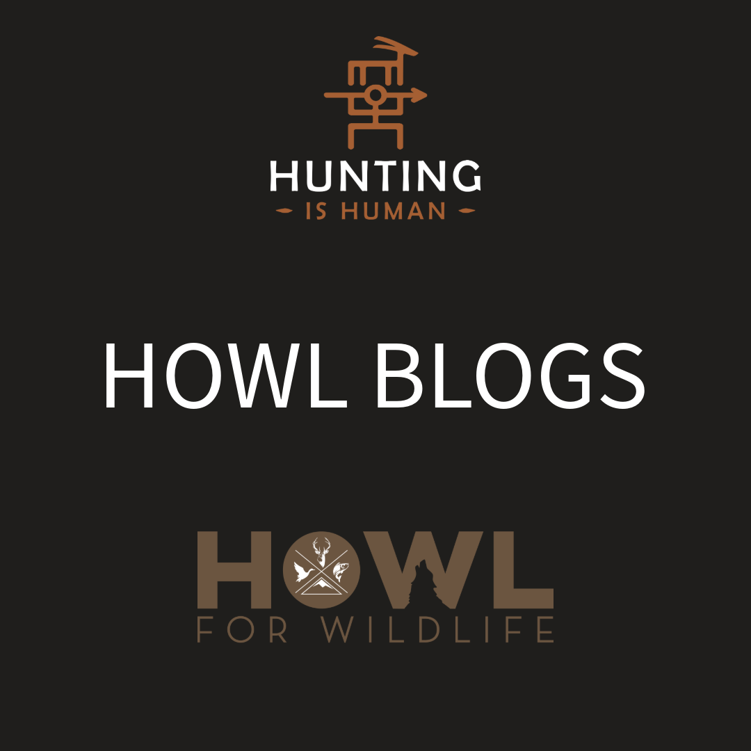 Blog - Howl For Wildlife