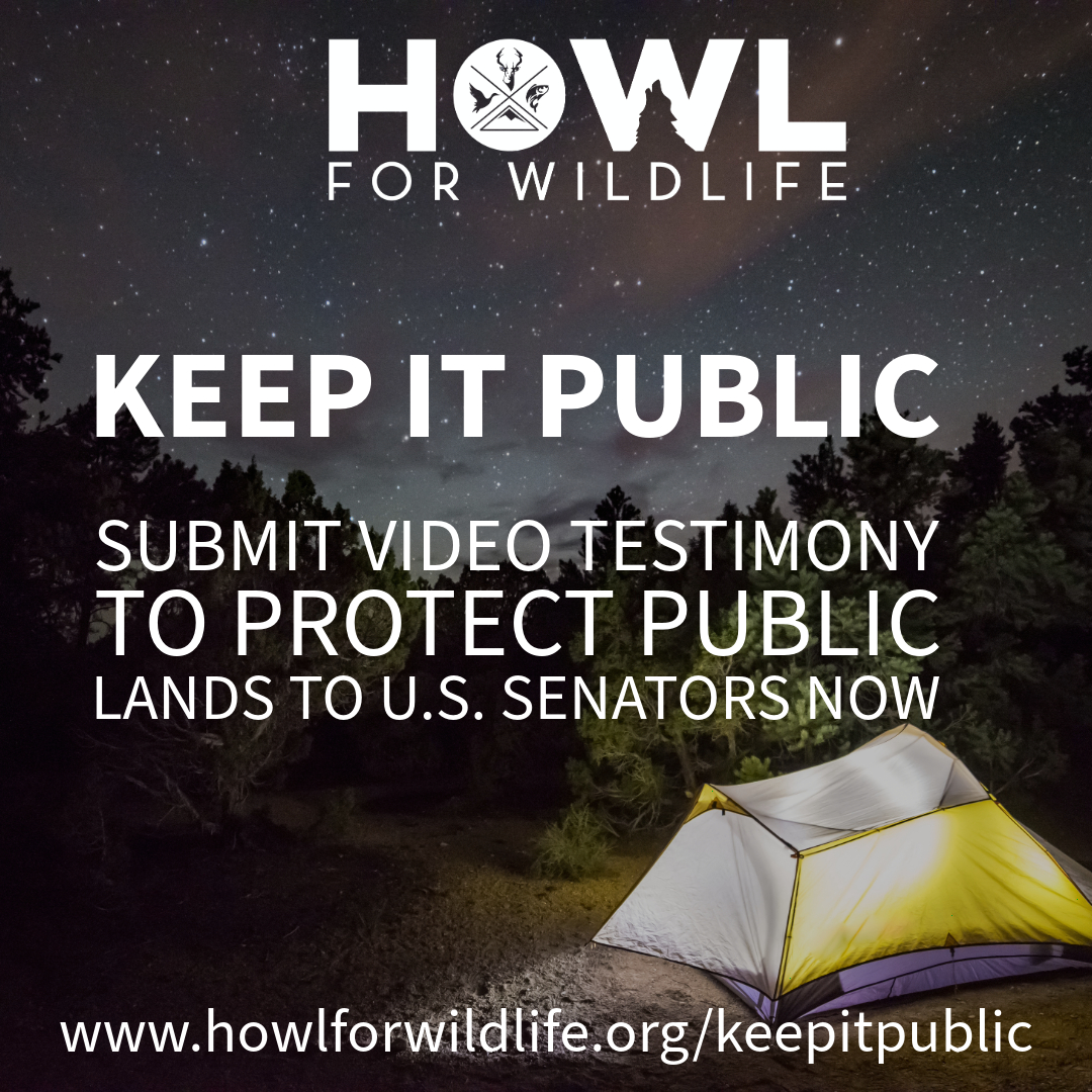 Keep It Public - Contact The US Senate