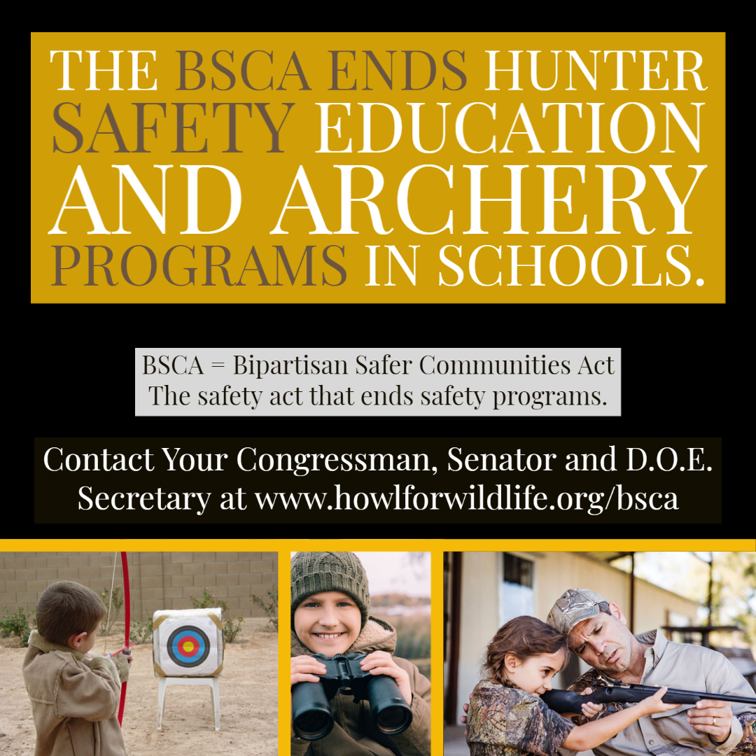 BSCA - Not exactly focused on Safety.