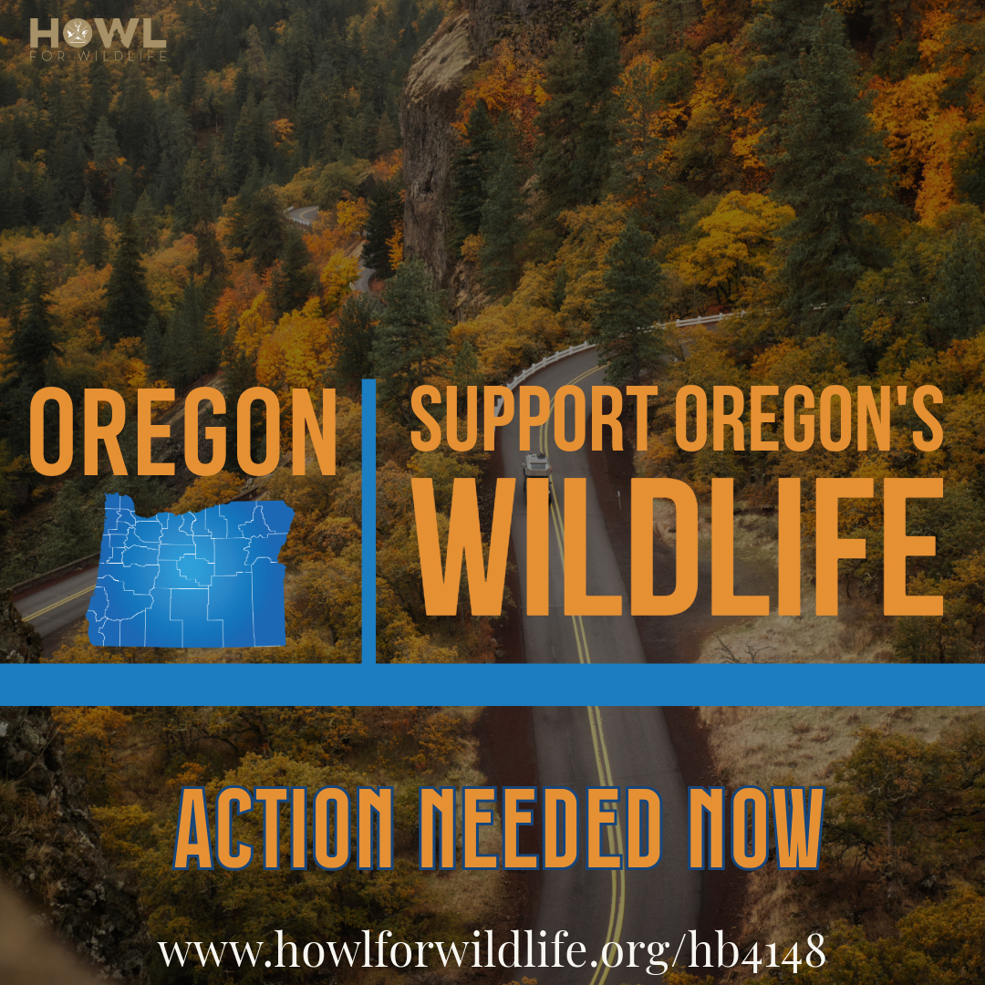"Protecting Oregon's Wildlife: The Urgent Case for HB 4148"