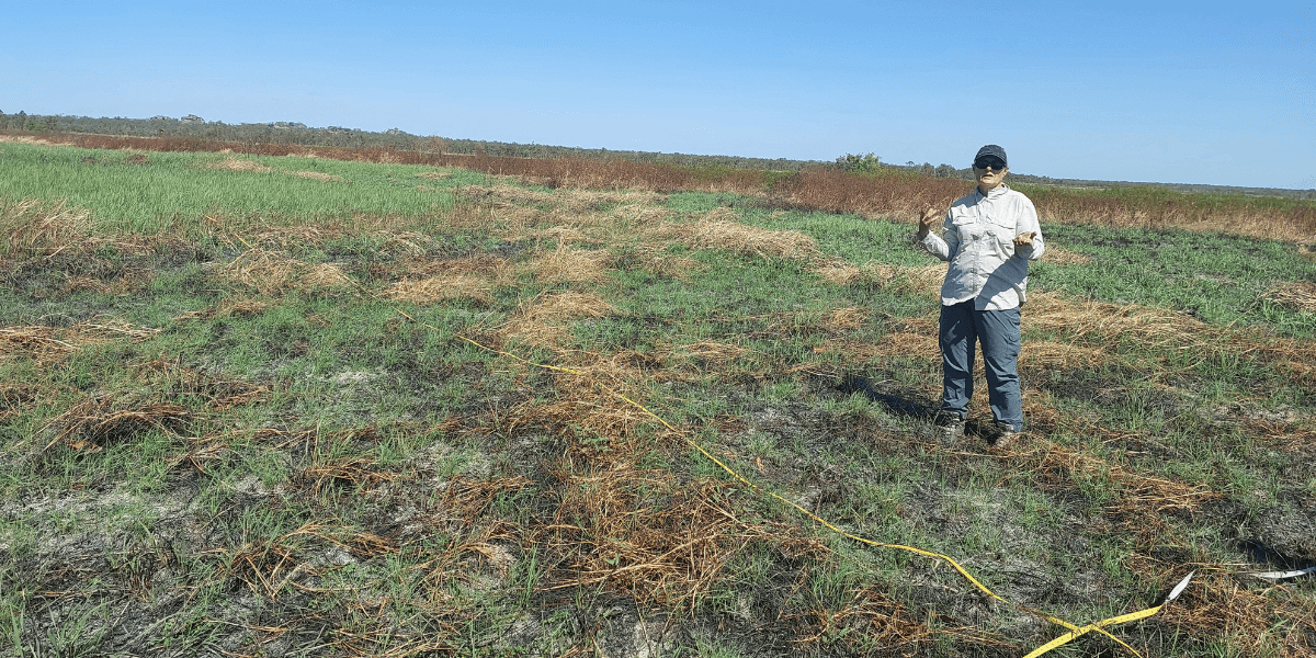 Measuring the impact of feral ungulate damage to Country - Indigenous ...