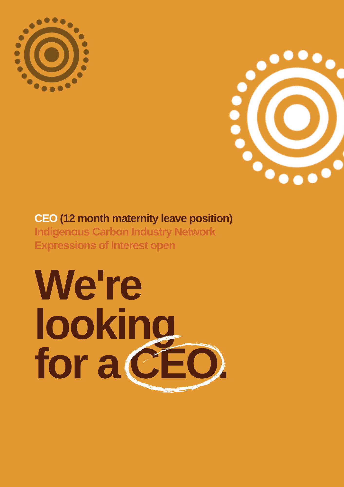Exciting leadership opportunity: EoI now open for ICIN CEO position ...