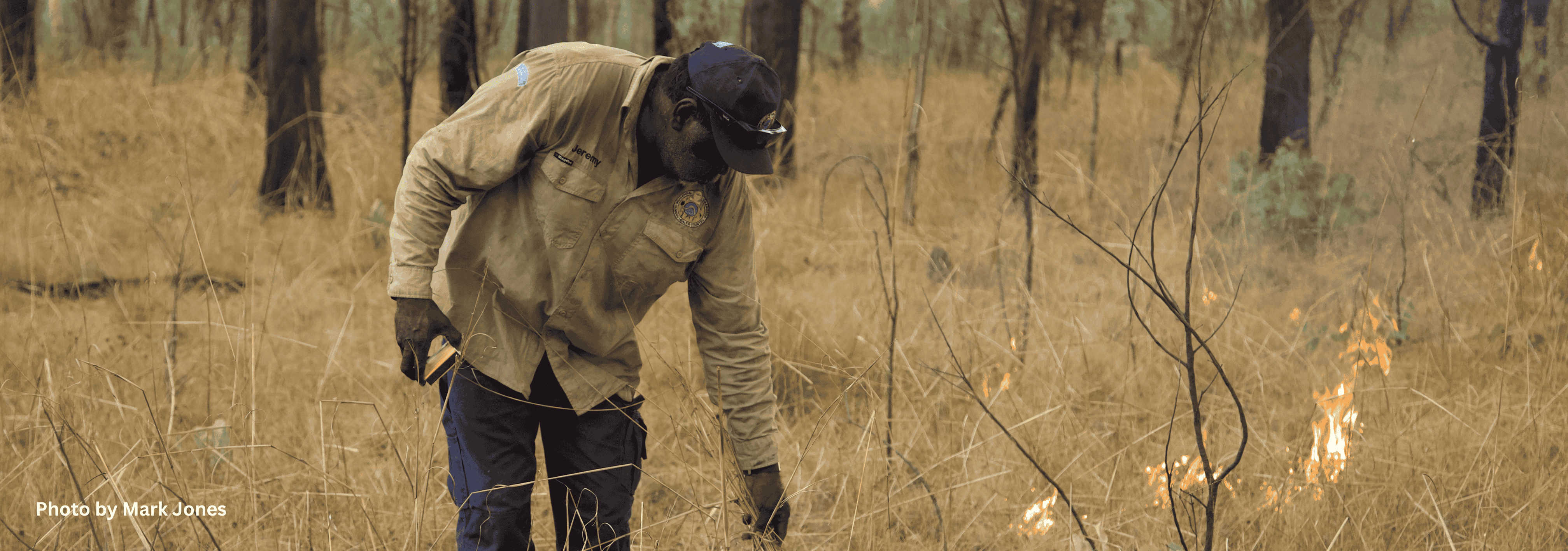 World’s largest fire study proves success of Indigenous fire management ...