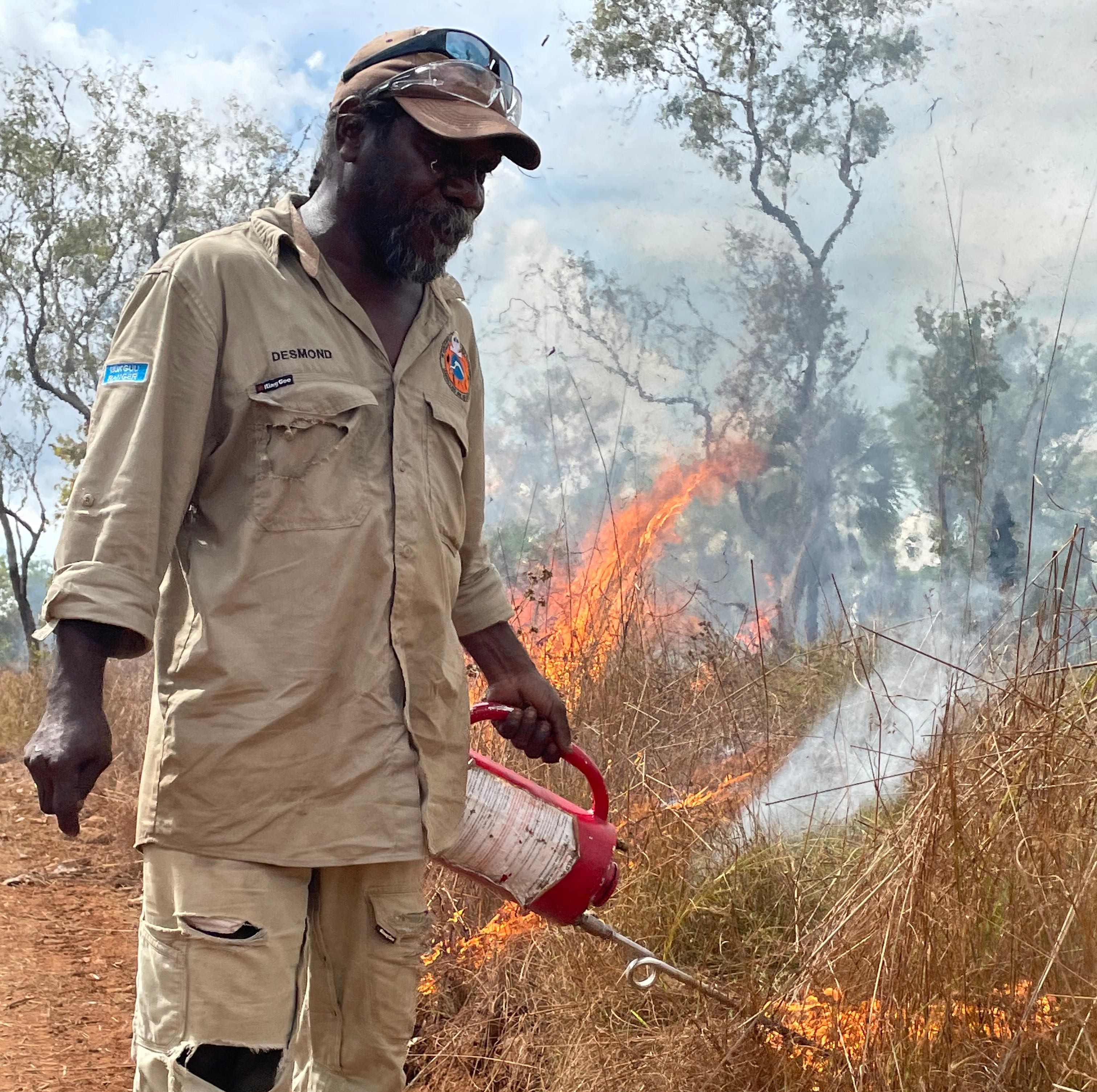 World’s largest fire study proves success of Indigenous fire management ...