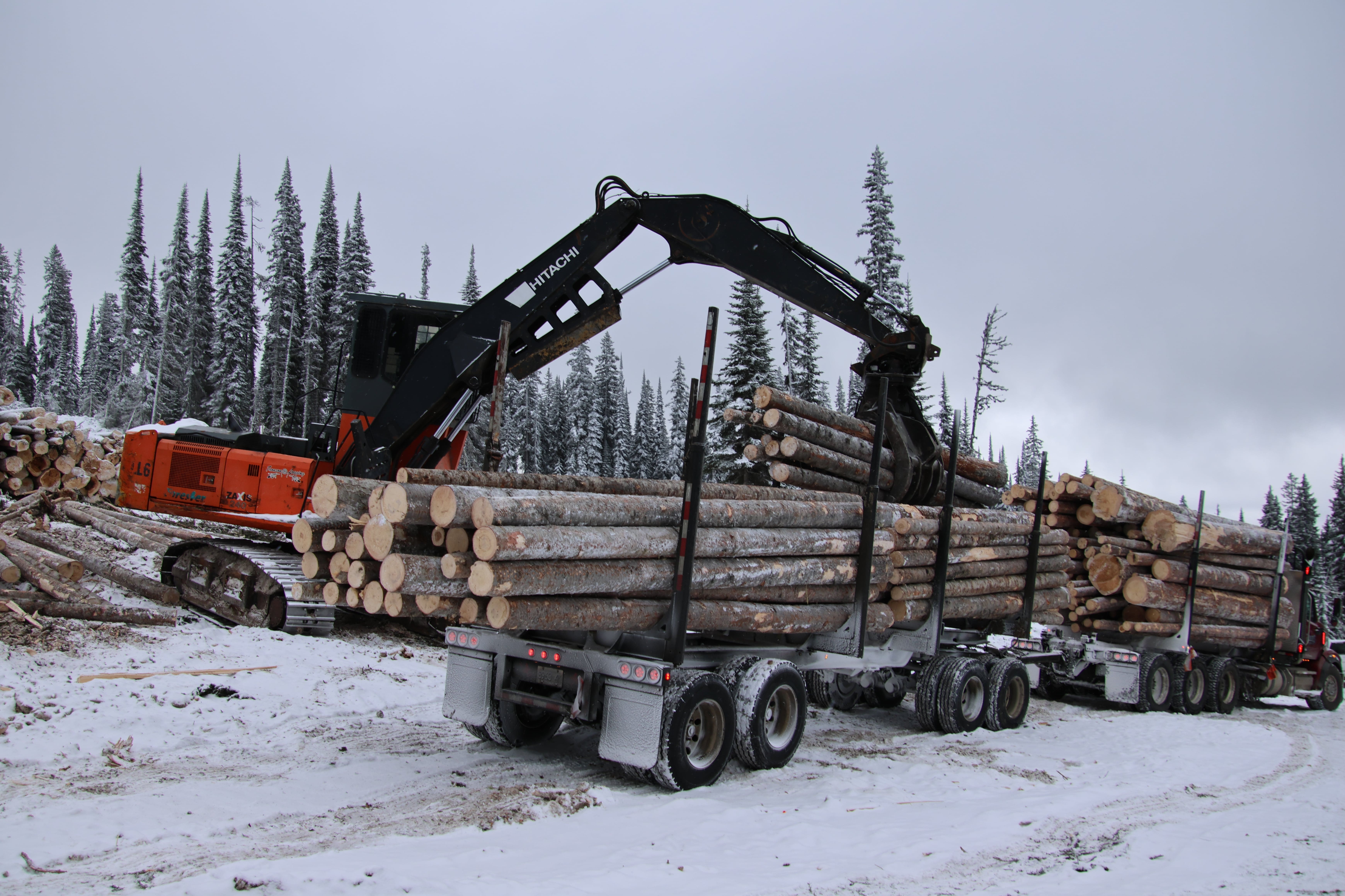 Indigenous Resource Network applauds transfer of forest licence to ...