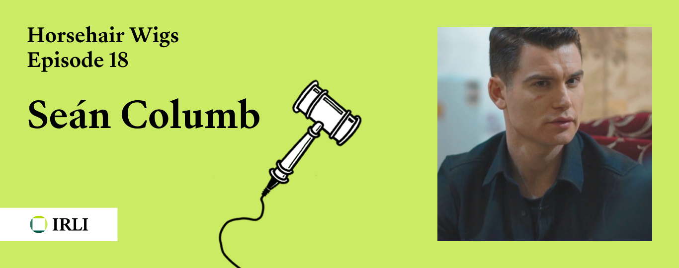 The Justice Edit Podcast - Irish Rule of Law International (human ...
