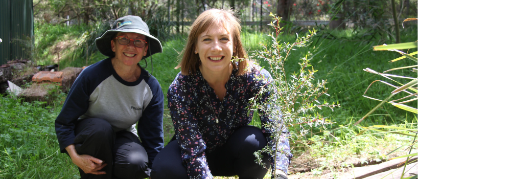 Environment & Climate- Jo Haylen MP
