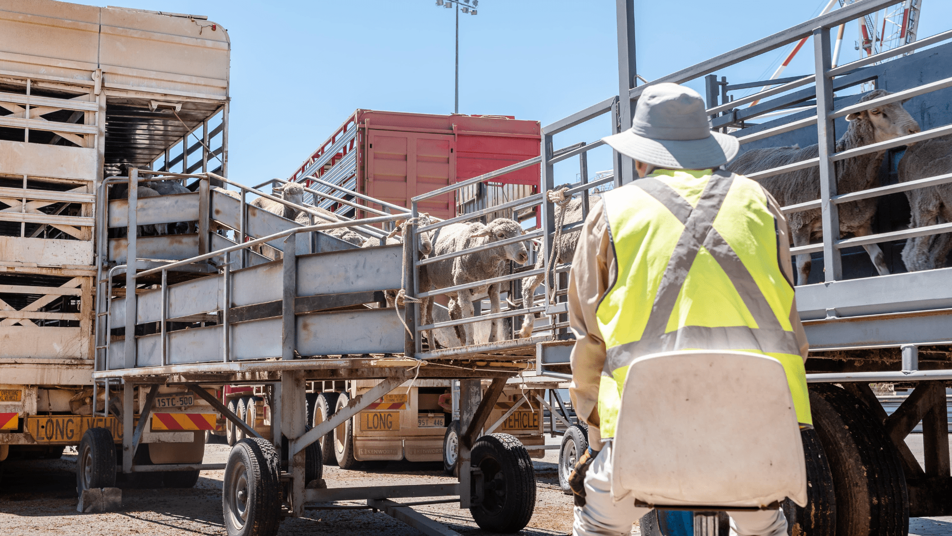 Resources - Keep The Sheep