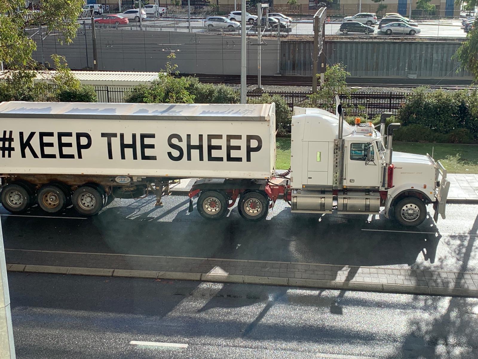 Community with us: Keep the Sheep petition hits over 44k signatures in ...
