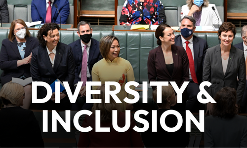 Diversity and inclusion - Dr Monique Ryan MP