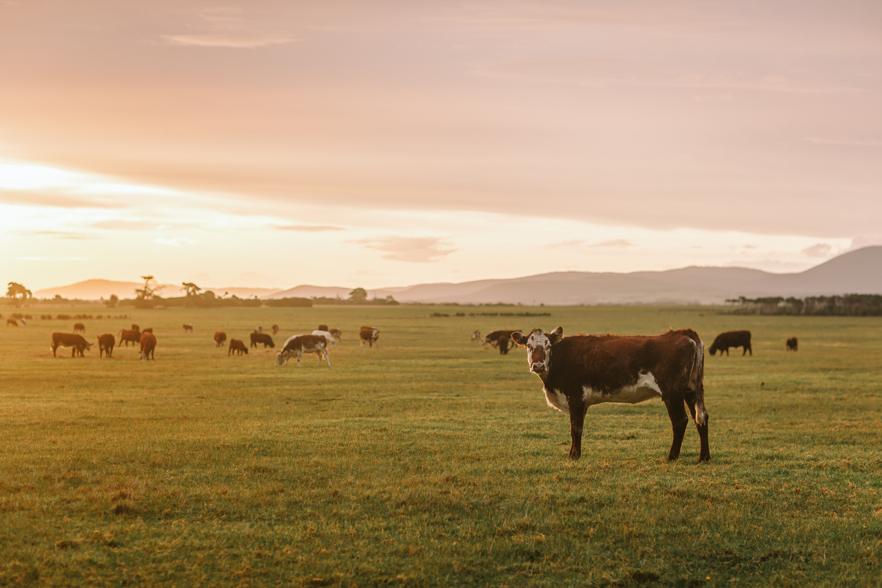Climate Tools - Landcare Tasmania
