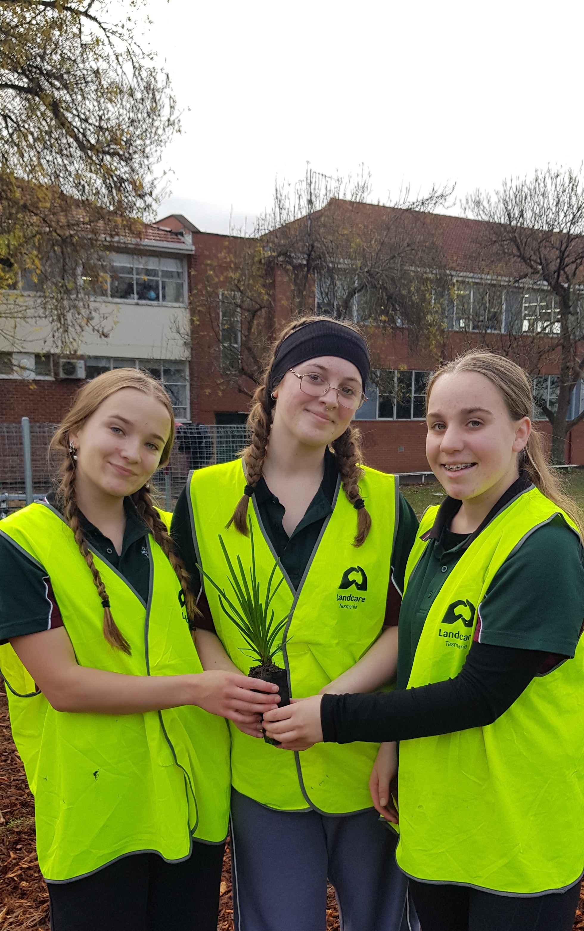 Planting a pocket forest at Clarence High School - Landcare Tasmania