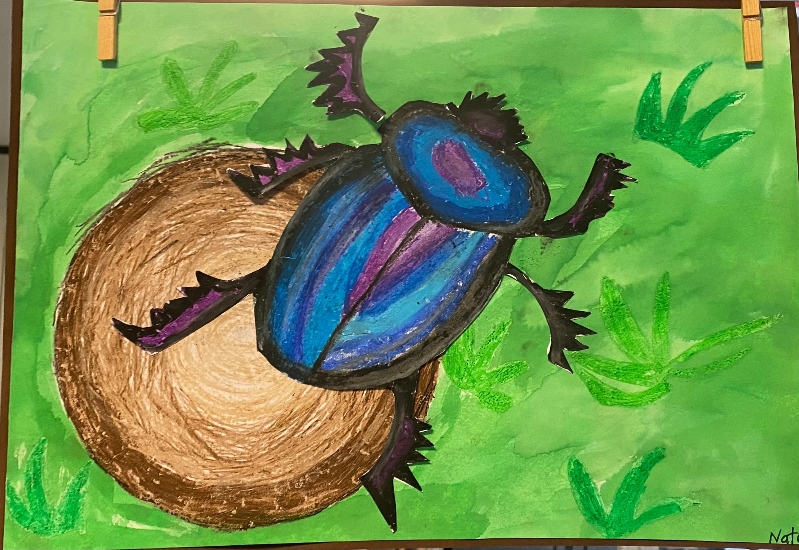 Junior Artists Paint Beetles - Landcare Tasmania