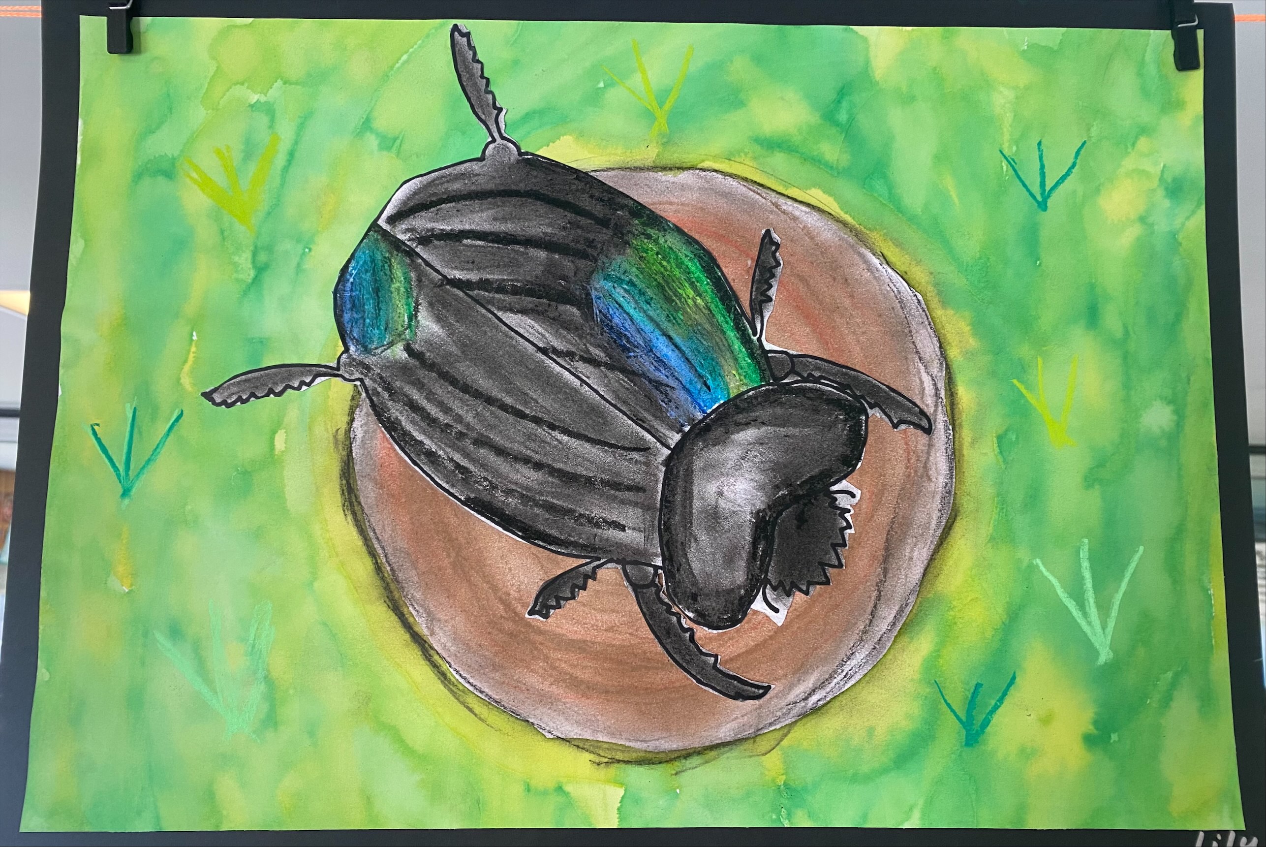 Junior Artists Paint Beetles - Landcare Tasmania