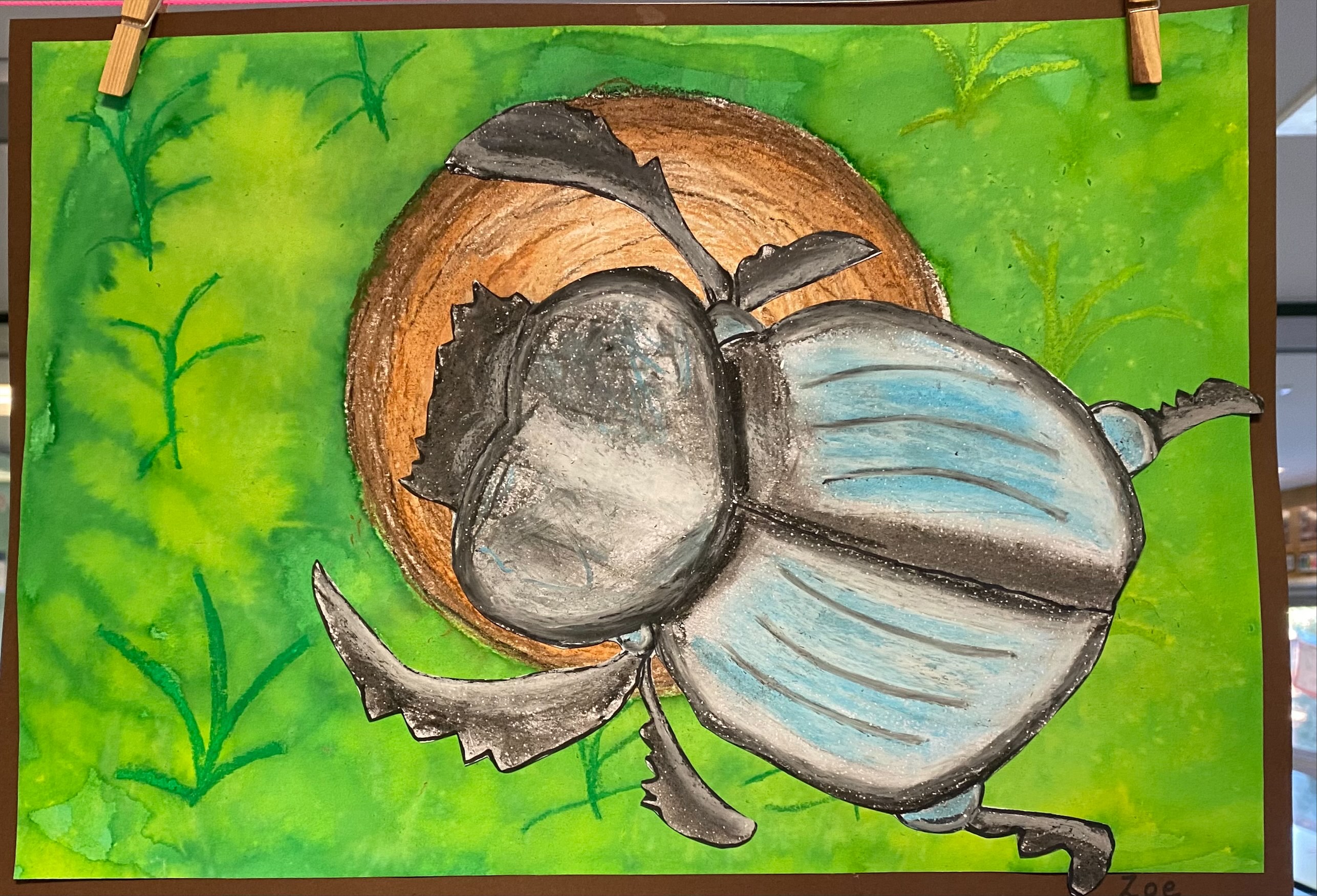 Junior Artists Paint Beetles - Landcare Tasmania