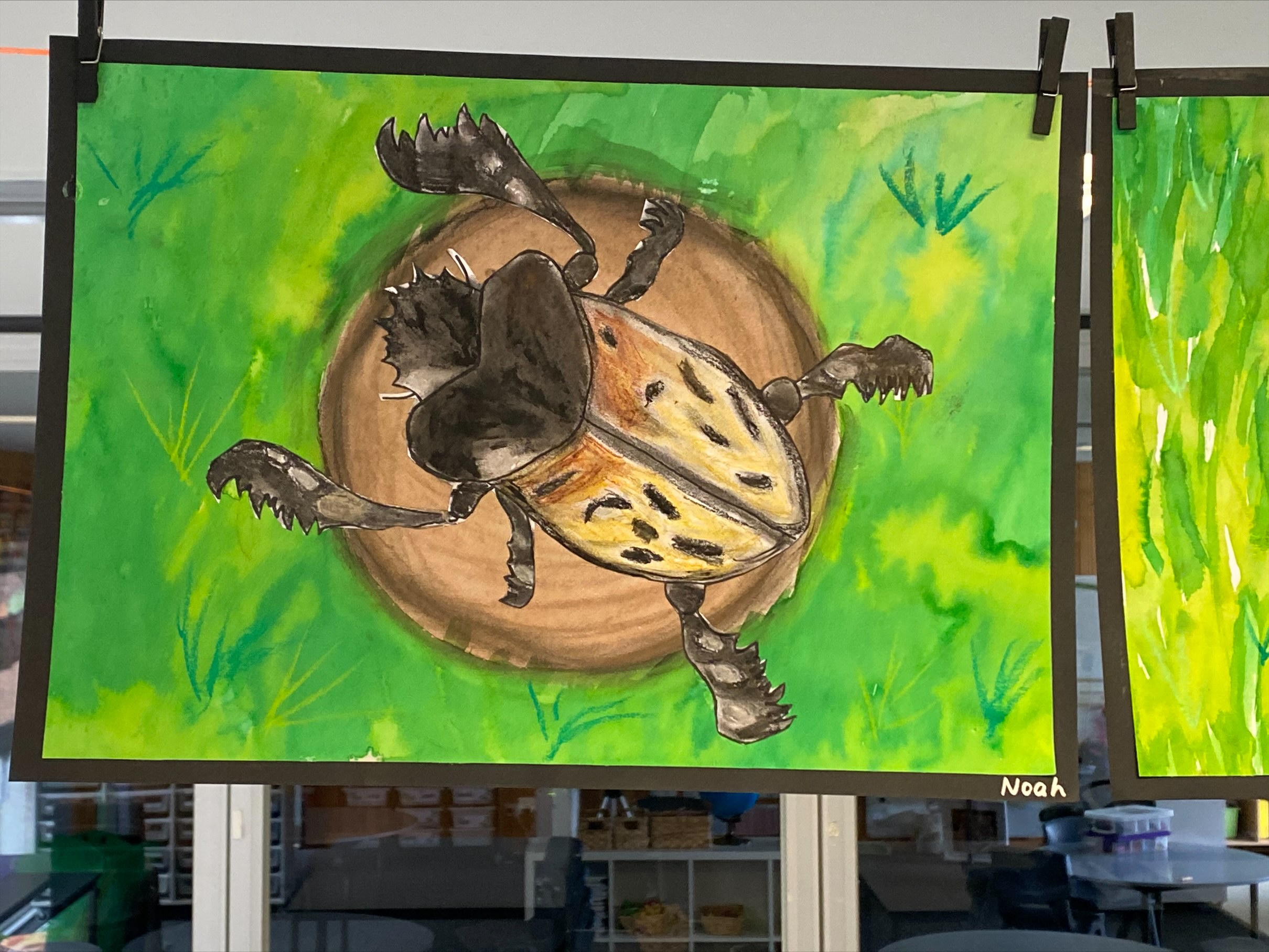 Junior Artists Paint Beetles - Landcare Tasmania