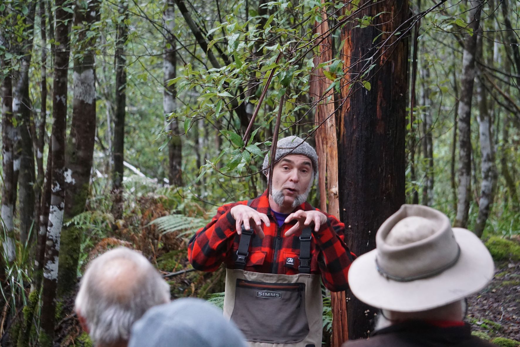 River Health Workshop: Waterbugs, Nest Boxes, and More - Landcare Tasmania
