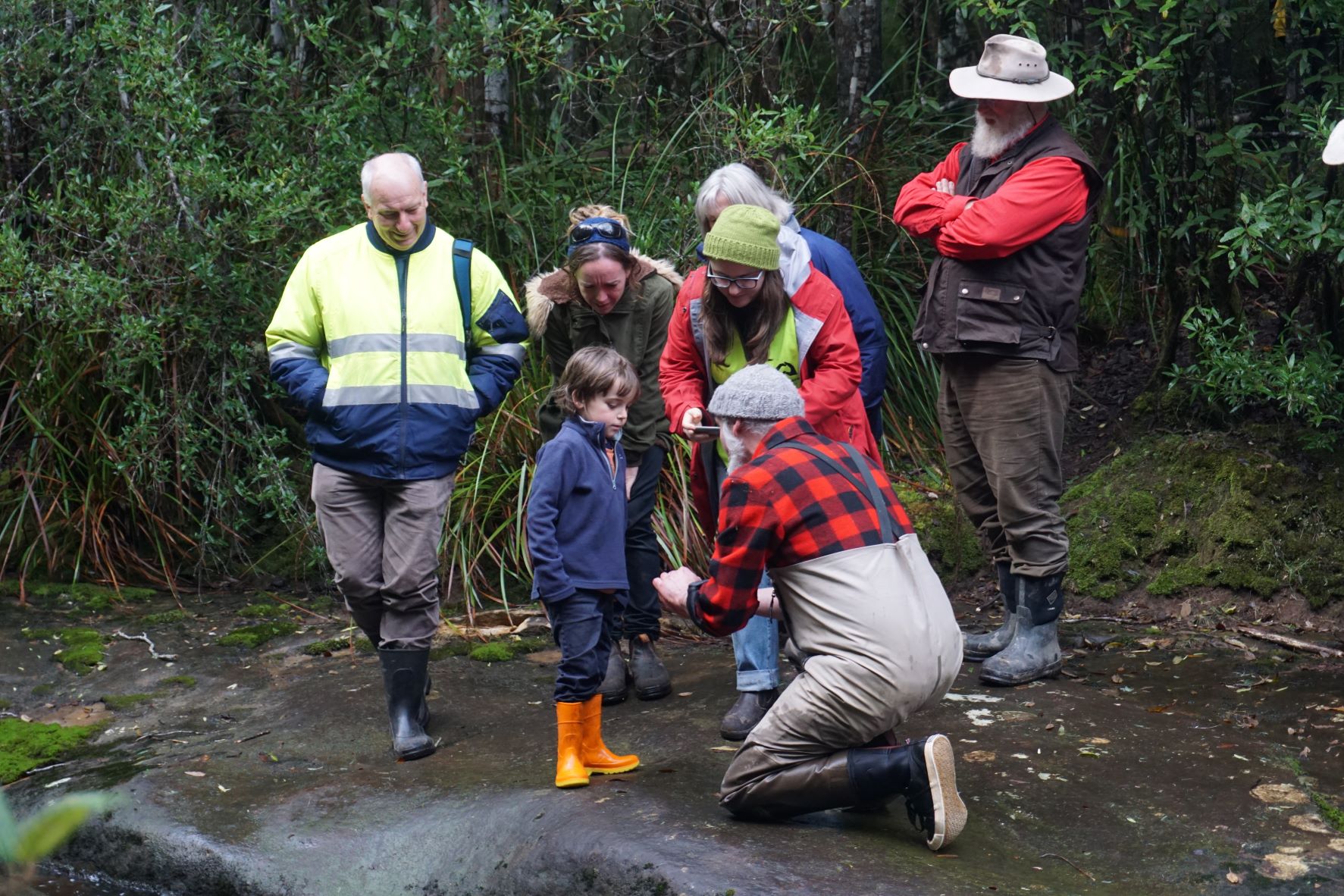 River Health Workshop: Waterbugs, Nest Boxes, and More - Landcare Tasmania