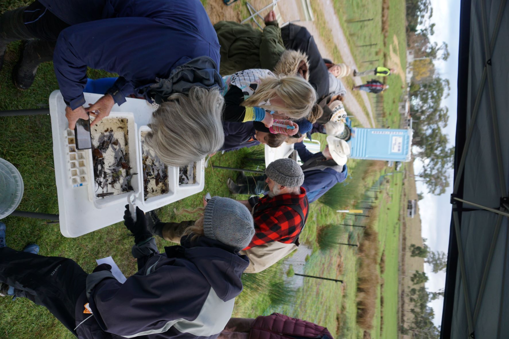 River Health Workshop: Waterbugs, Nest Boxes, and More - Landcare Tasmania