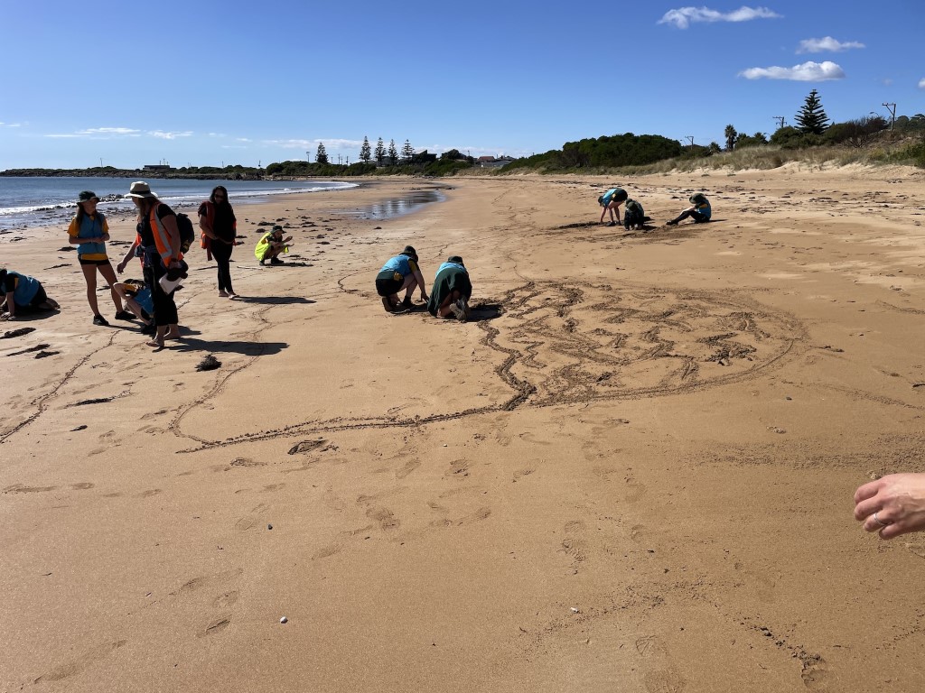 Cooee Primary Explore Their Local Patch - Landcare Tasmania