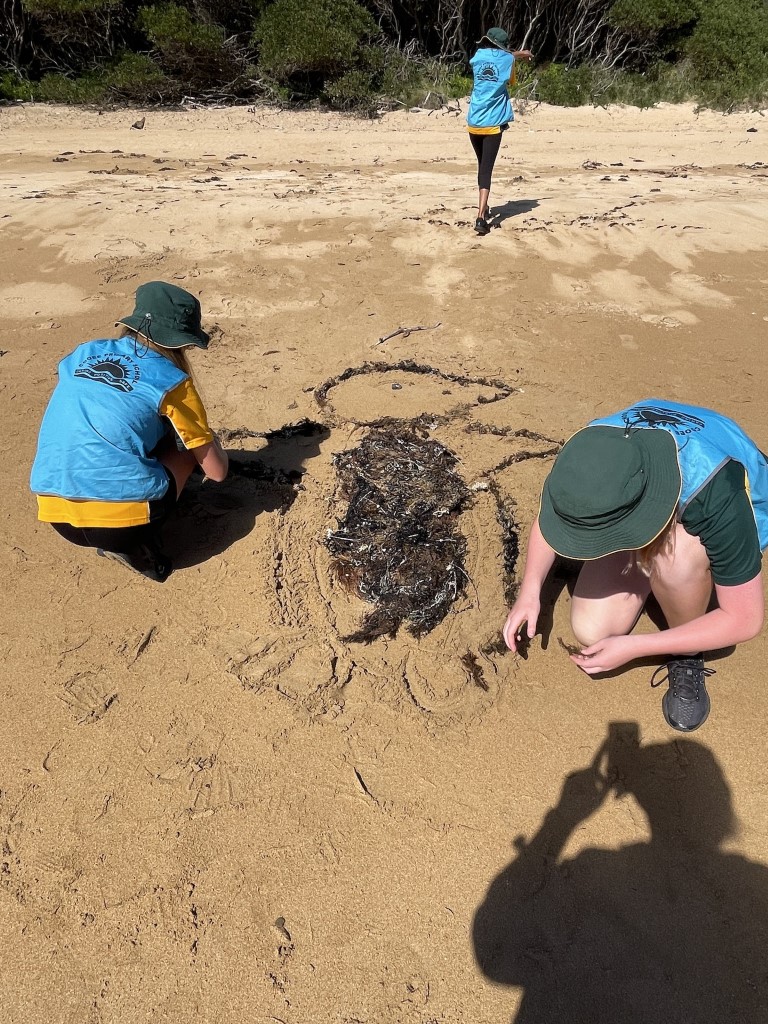 Cooee Primary Explore Their Local Patch - Landcare Tasmania