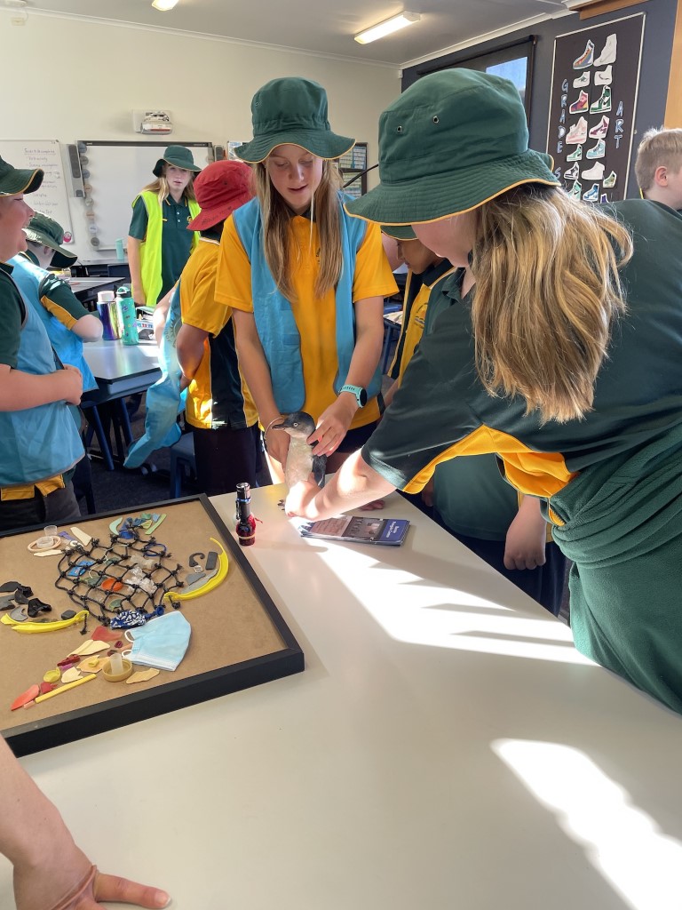 Cooee Primary Explore Their Local Patch - Landcare Tasmania