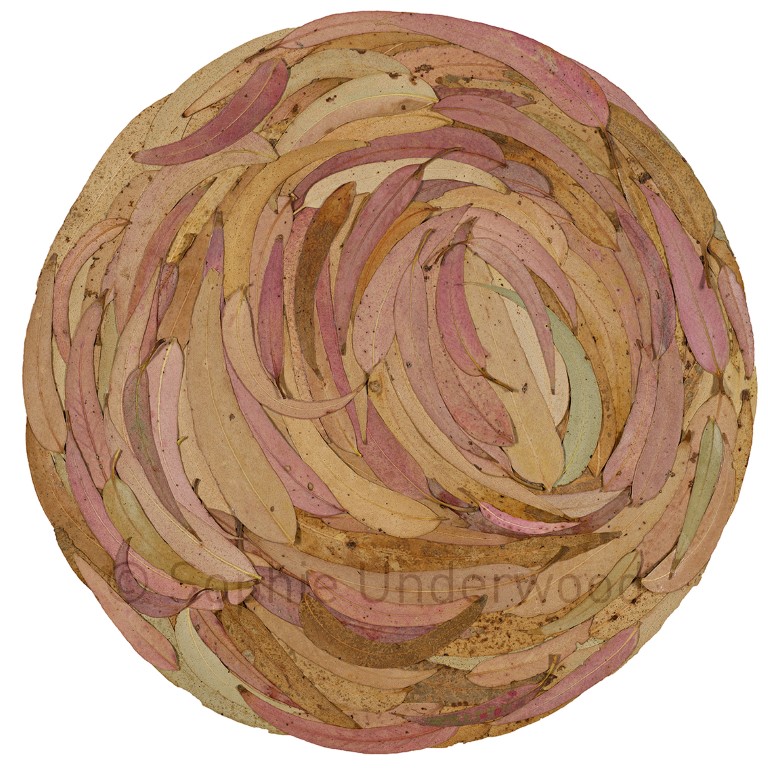 Preserving Nature's Masterpieces: Landcare Tasmania's Fundraising Art ...