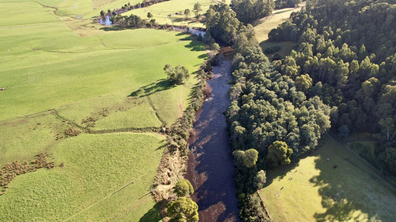 Regeneration at Penny's - Landcare Tasmania