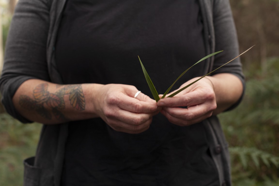 Seed Resilience - Community Meeting - Landcare Tasmania