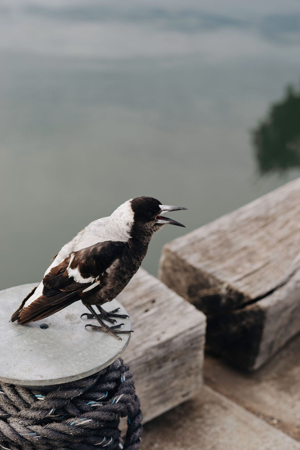 Maria Island Field Trip - Landcare Tasmania