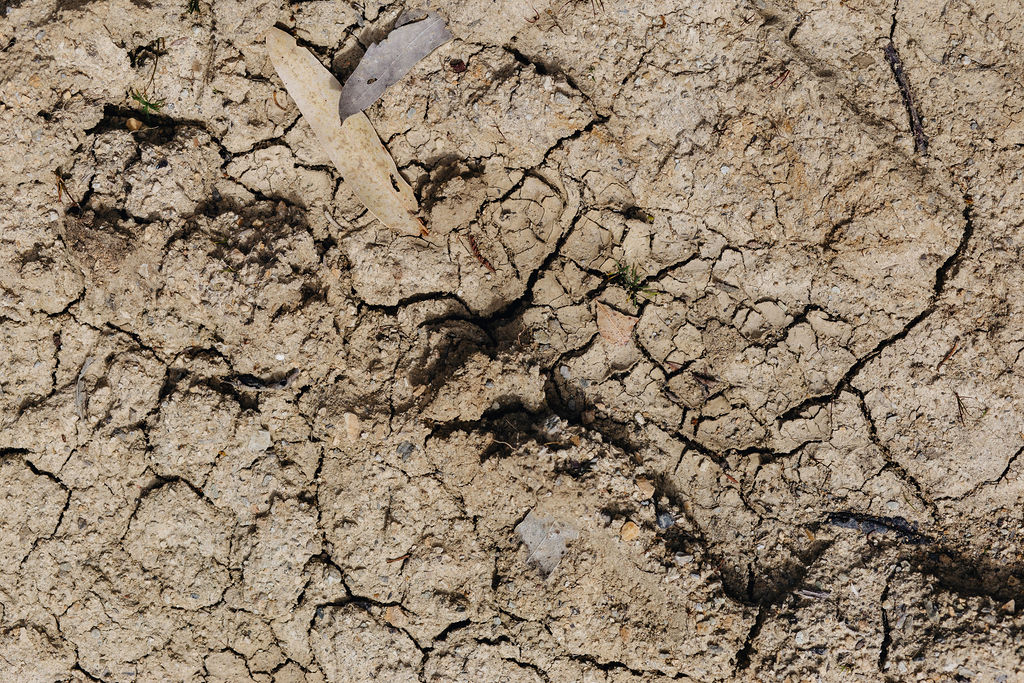 Maria Island Field Trip - Landcare Tasmania