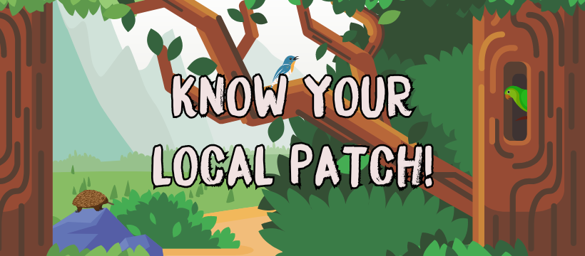 Know Your Local Patch Events - Landcare Tasmania