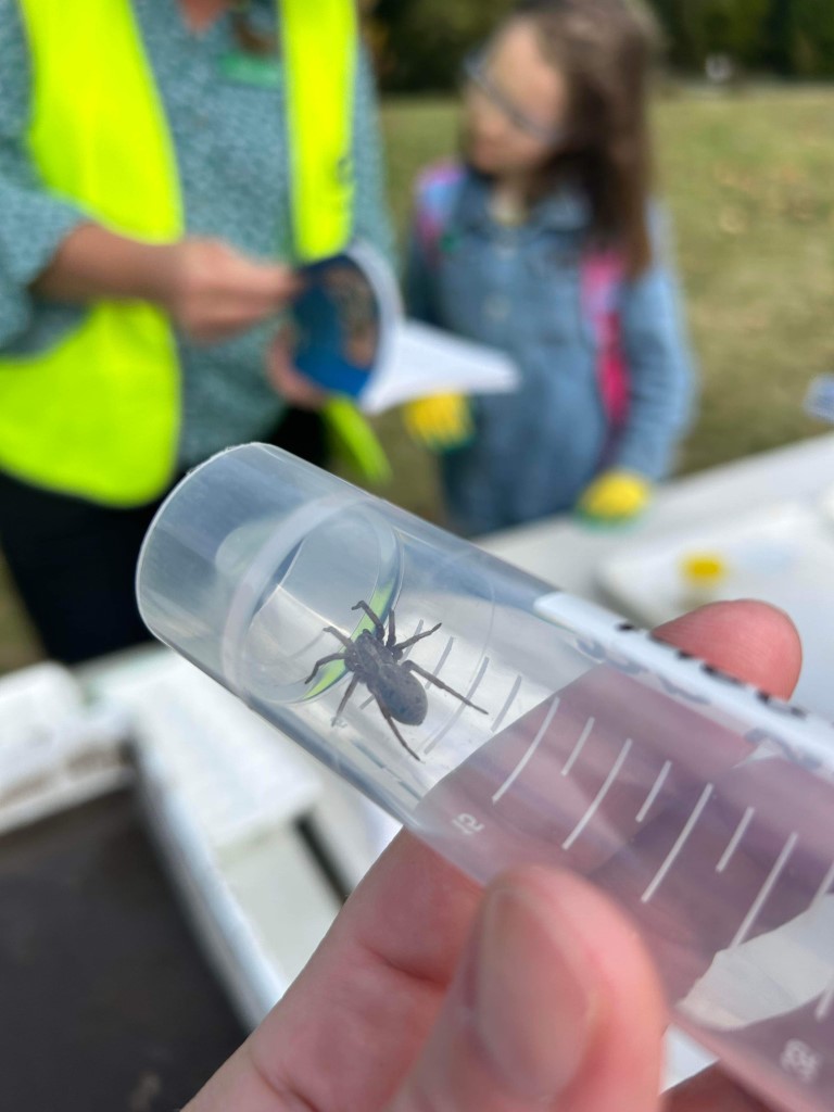 Bug Hunt at the Tas Arboretum - Landcare Tasmania