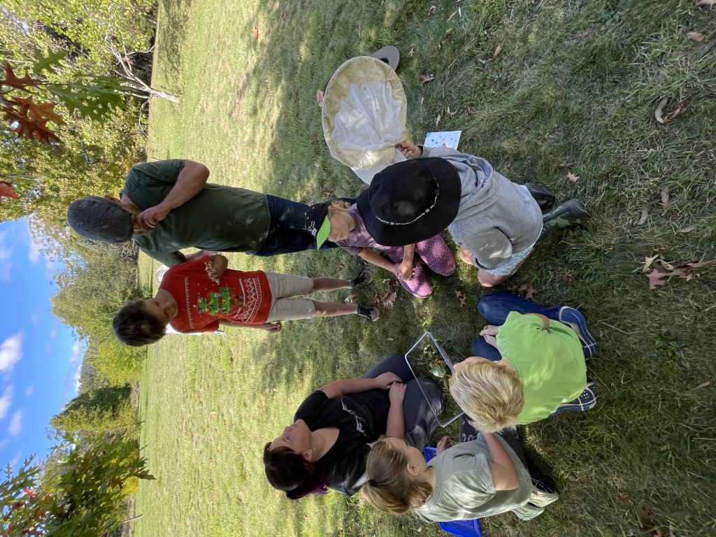 Bug Hunt at the Tas Arboretum - Landcare Tasmania