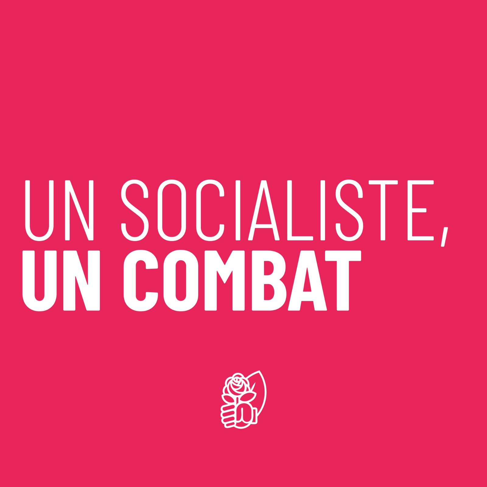 Le Parti socialiste a enregistré plus de 3000 nouvelles adhésions et ...