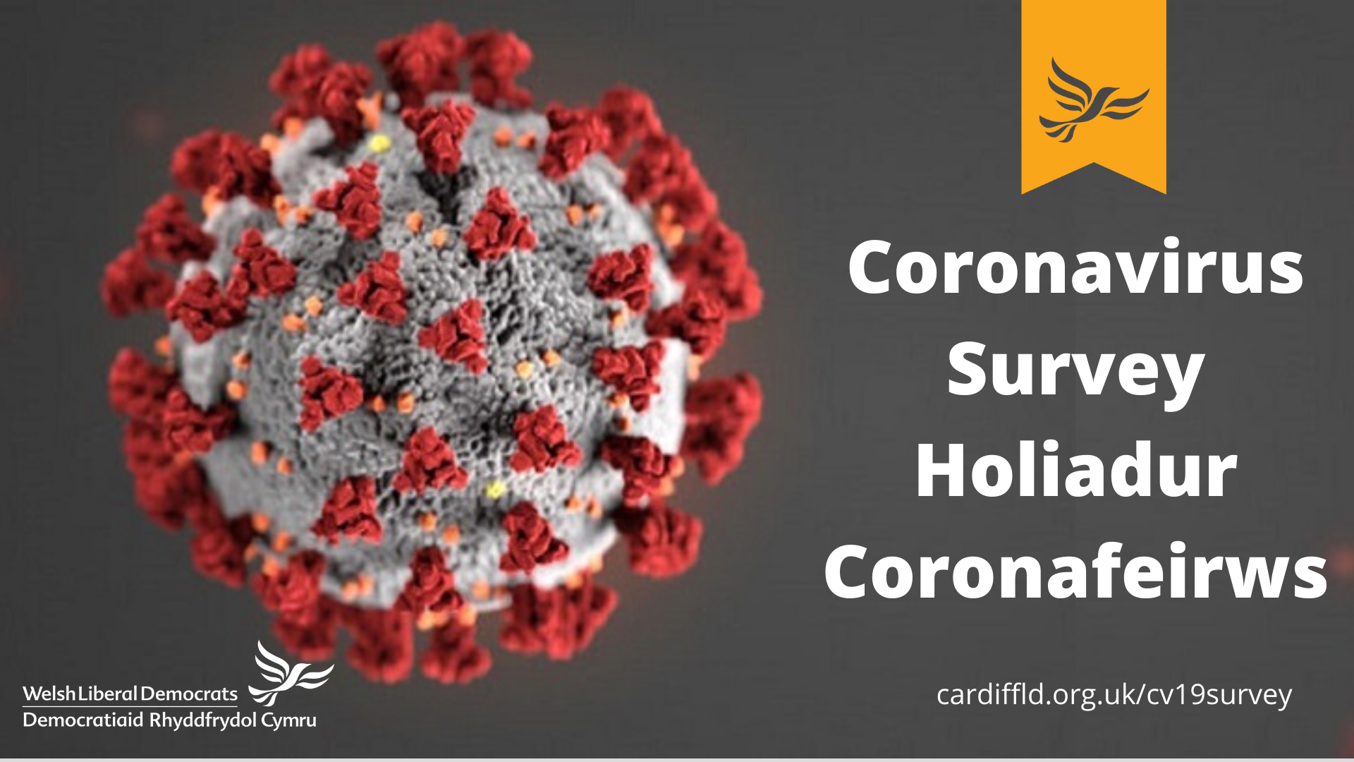 Cardiff Liberal Democrats