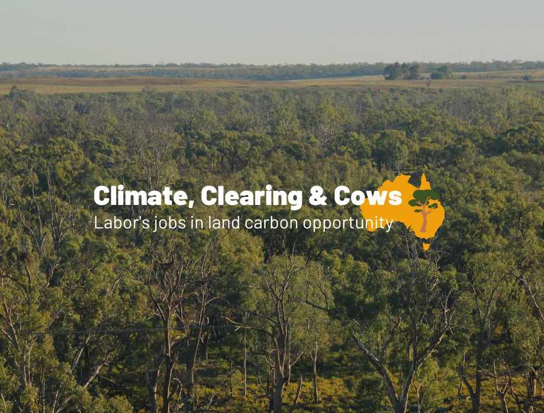 Climate Clearing Cows - Factsheets - Labor Environment Action Network