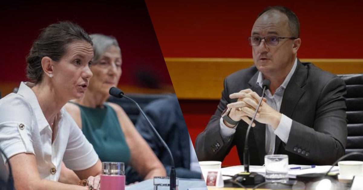 NSW Mental Health Minister Rose Jackson acknowledges calls for NSW to ...