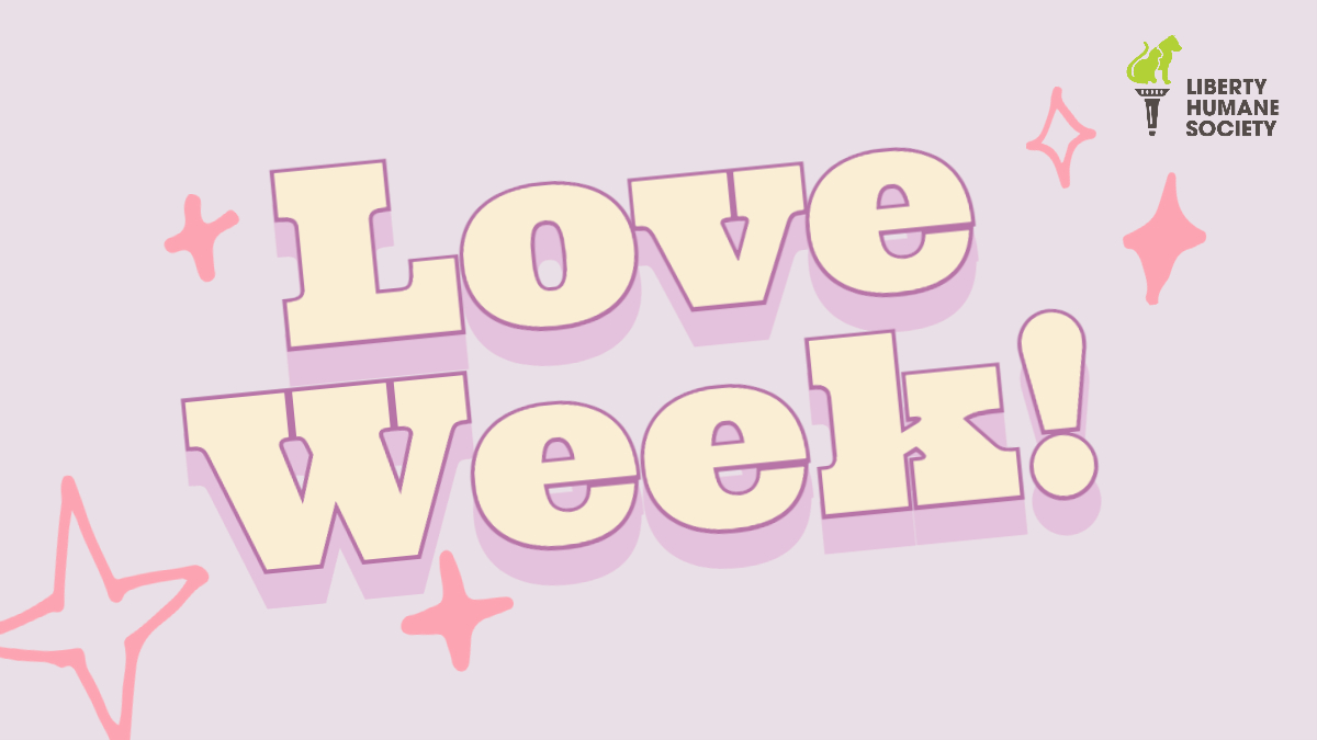 It's LOVE WEEK at LHS! - Liberty Humane Society