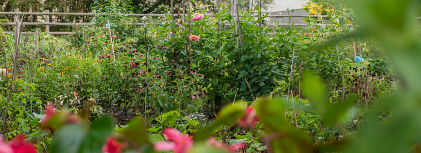 London Environmental Network