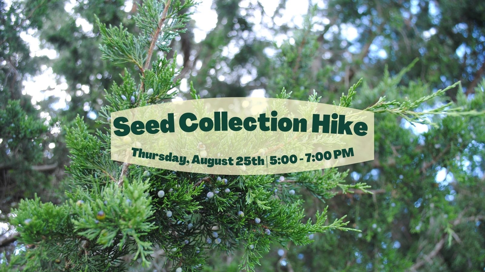 Seed Collection Hike - Sept 1st - London Environmental Network