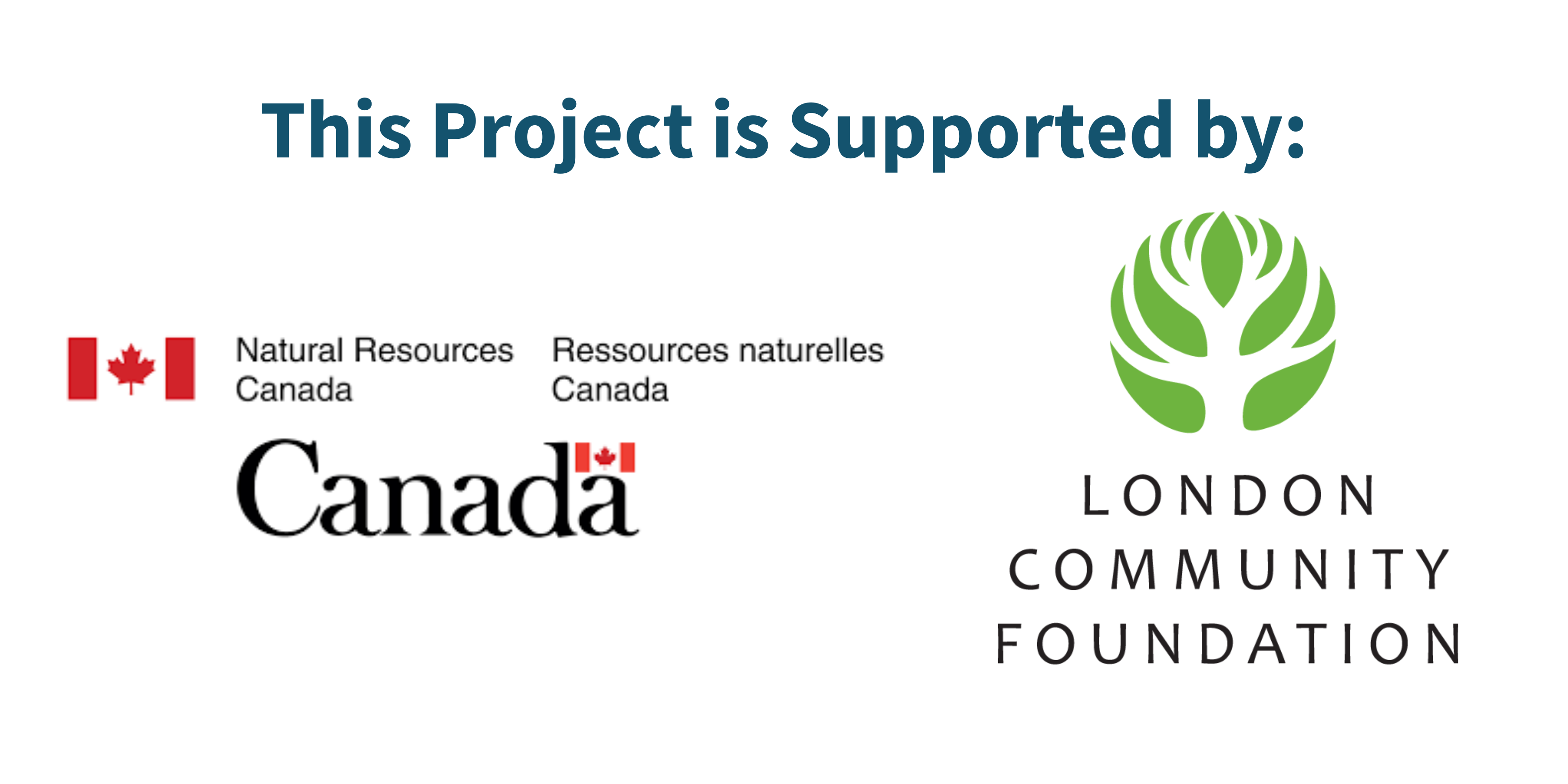 Nonprofit Resiliency Project London Environmental Network