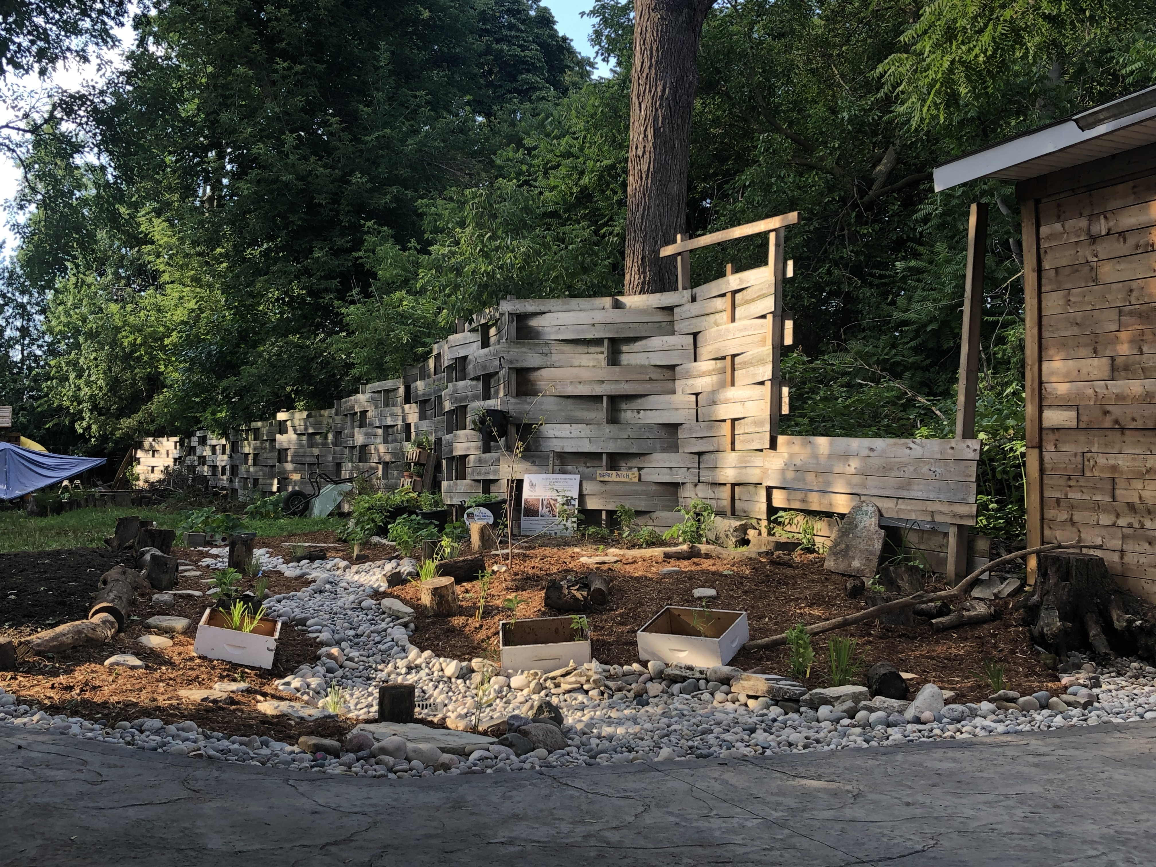 5 Benefits of Installing a Rain Garden! - London Environmental Network