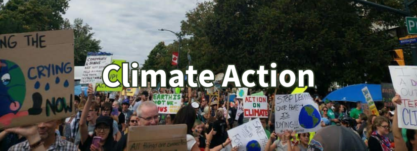 Climate Action - London Environmental Network